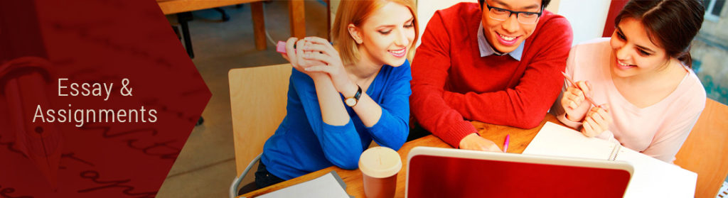 Essay Writing in UAE | Essay Help in UAE | Essay writing Help
